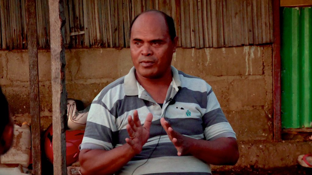 Pigs Continue to die in Timor-Leste’s east - TATOLI Agência Noticiosa ...