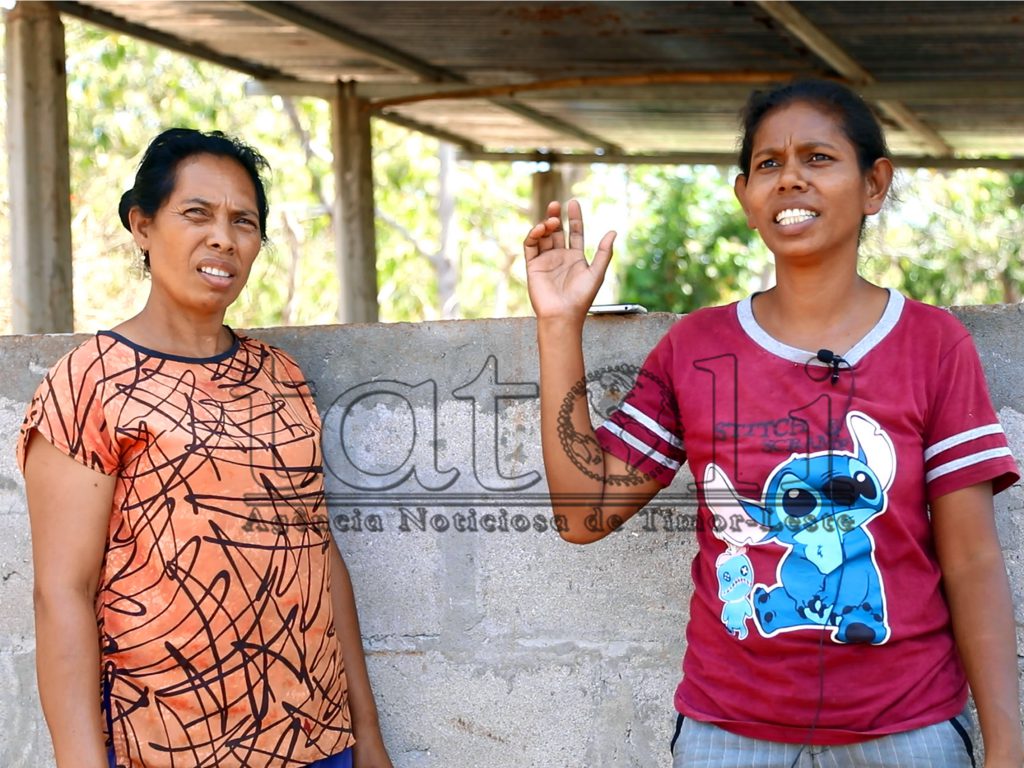 Discarded Pigs Prompt Health Warning as More Animals Die - TATOLI ...